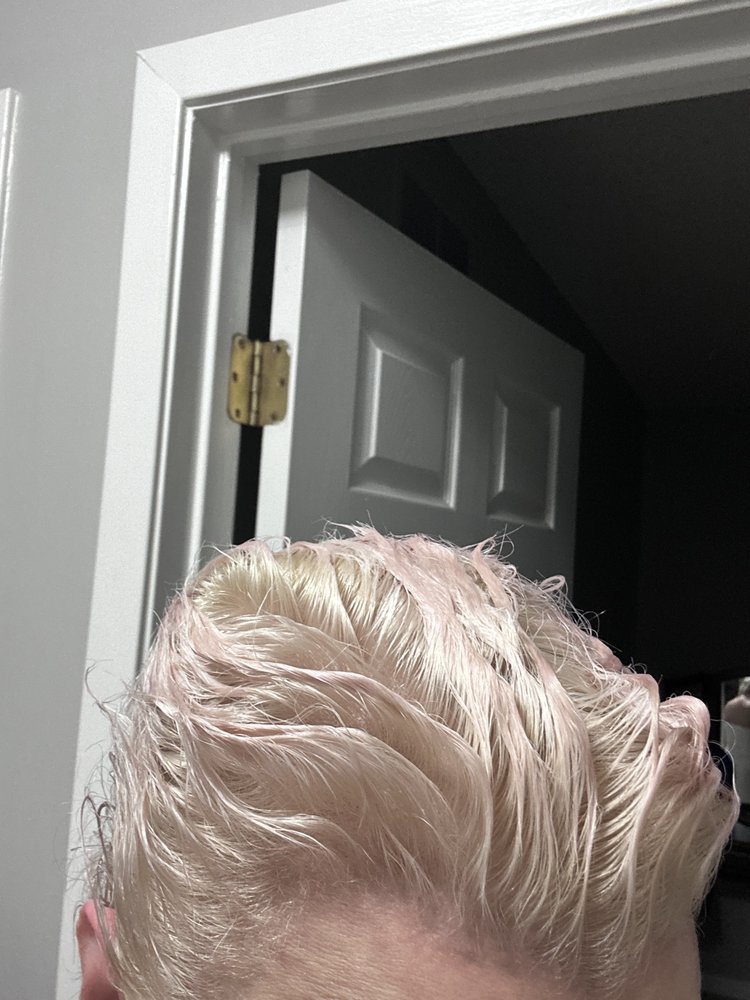 TRICHO SALON - Updated July 2024 - 27 Photos & 23 Reviews - 27640 Novi ...