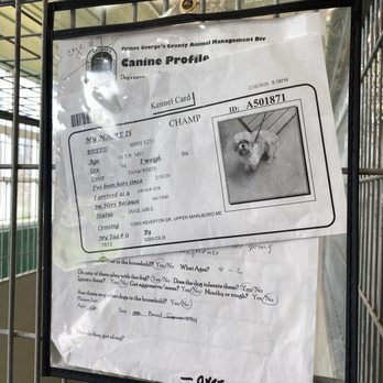 PRINCE GEORGE’S ANIMAL SERVICES FACILITY - Updated June 2024 - 33 ...