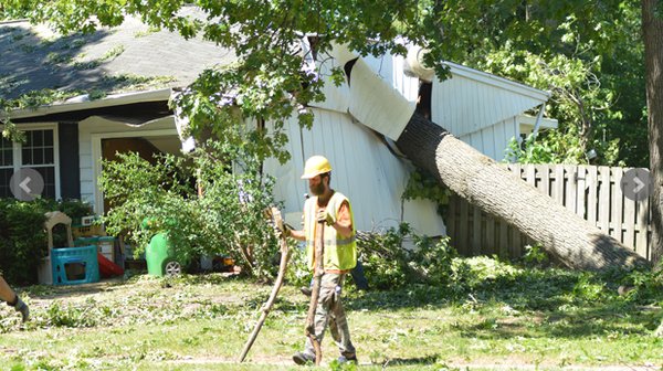 KACHUR TREE SERVICE - Updated December 2025 - 45 Photos - 316 Fulkerson ...