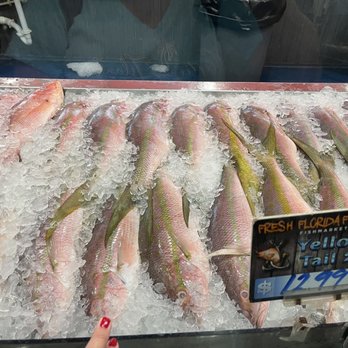 FRESH FLORIDA FISHERIES - Updated November 2024 - 492 Photos & 191 ...
