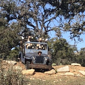 DIXIE DUDE RANCH - 103 Photos & 40 Reviews - 833 Dixie Dude Ranch Rd ...