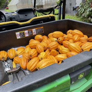 ONO ORGANIC FARMS - Updated January 2026 - 101 Photos & 52 Reviews ...