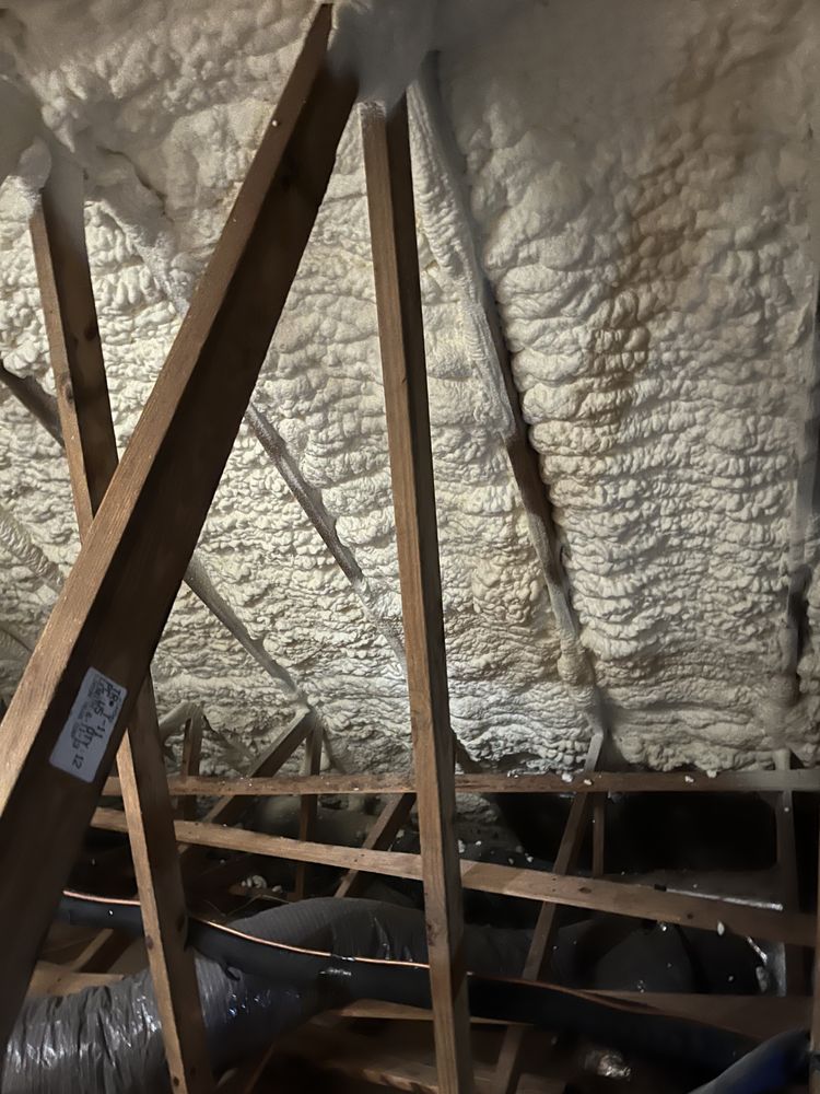 CARDINAL INSULATION - Updated September 2025 - 4263 NW 1st Ave, Boca ...