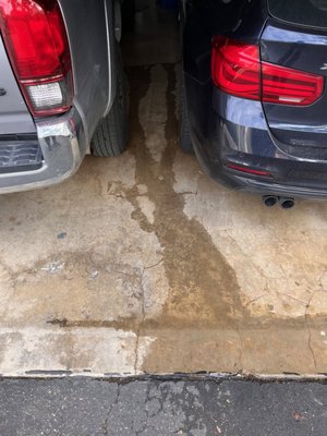 ASAP Drain Guys & Plumbing - Updated November 2025 - 76 Photos - 500 ...