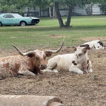 TURQUOISE ACRES RANCH - Updated December 2025 - 64 Photos & 10 Reviews ...