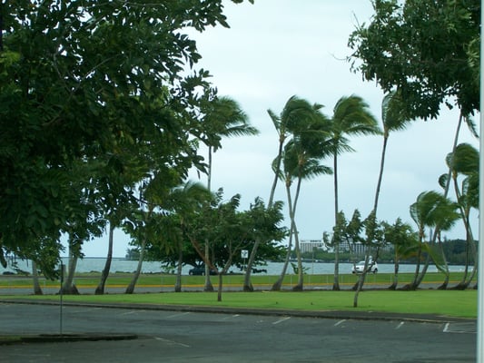 HILO PUBLIC LIBRARY - Updated December 2025 - 15 Photos & 24 Reviews ...