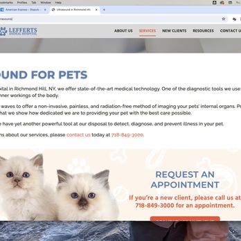 LEFFERTS ANIMAL HOSPITAL - Updated October 2025 - 78 Photos & 179 ...