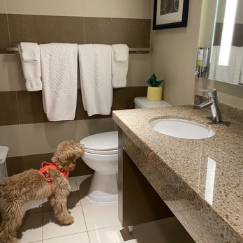 STAYPINEAPPLE HOTEL ROSE DOWNTOWN PORTLAND - Updated August 2024 - 749 ...