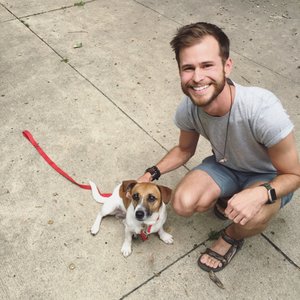 INDYHUMANE - 166 Photos & 60 Reviews - Animal Shelters - 7929 N ...