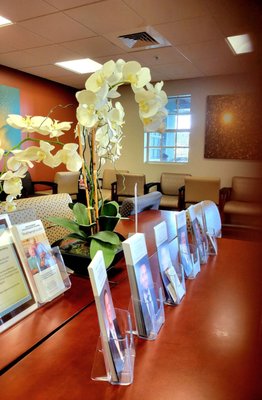 BRIAN PALUMBO MD - Updated January 2026 - 2653 Bruce B Downs Blvd ...