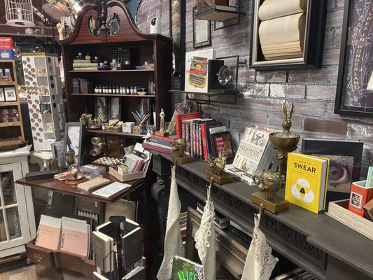 ANEMOIA MERCANTILE - Updated June 2026 - 29 Photos - 868 Blanding Blvd ...