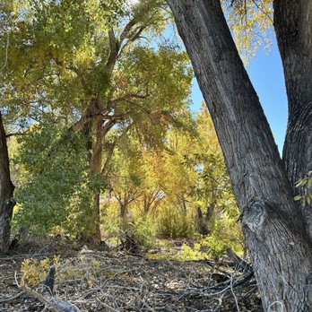 PASEO DEL BOSQUE TRAIL - Updated January 2026 - 127 Photos & 29 Reviews ...