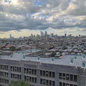 BOK BAR - 373 Photos & 278 Reviews - 800 Mifflin St, Philadelphia, PA ...