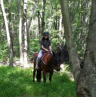 GOLD RUSH FARMS - Updated June 2024 - 33 Photos & 14 Reviews - 5 Silver ...