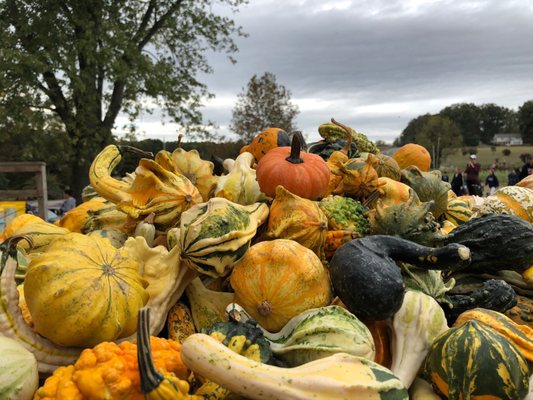 LARRILAND FARM - Updated July 2025 - 416 Photos & 212 Reviews - 2415 ...