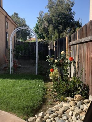 MODERN LANDSCAPE - 77 Photos & 48 Reviews - 700 E Redlands Blvd ...