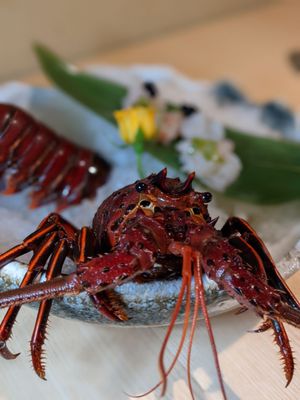 OOTORO LITTLE TOKYO - 1064 Photos & 239 Reviews - 232 E 2nd St, Los ...