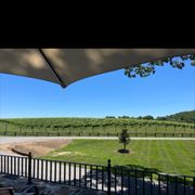 DYNAMIS ESTATE WINES - 14 Photos - 1004 Highland Rd, Jonesville, North ...
