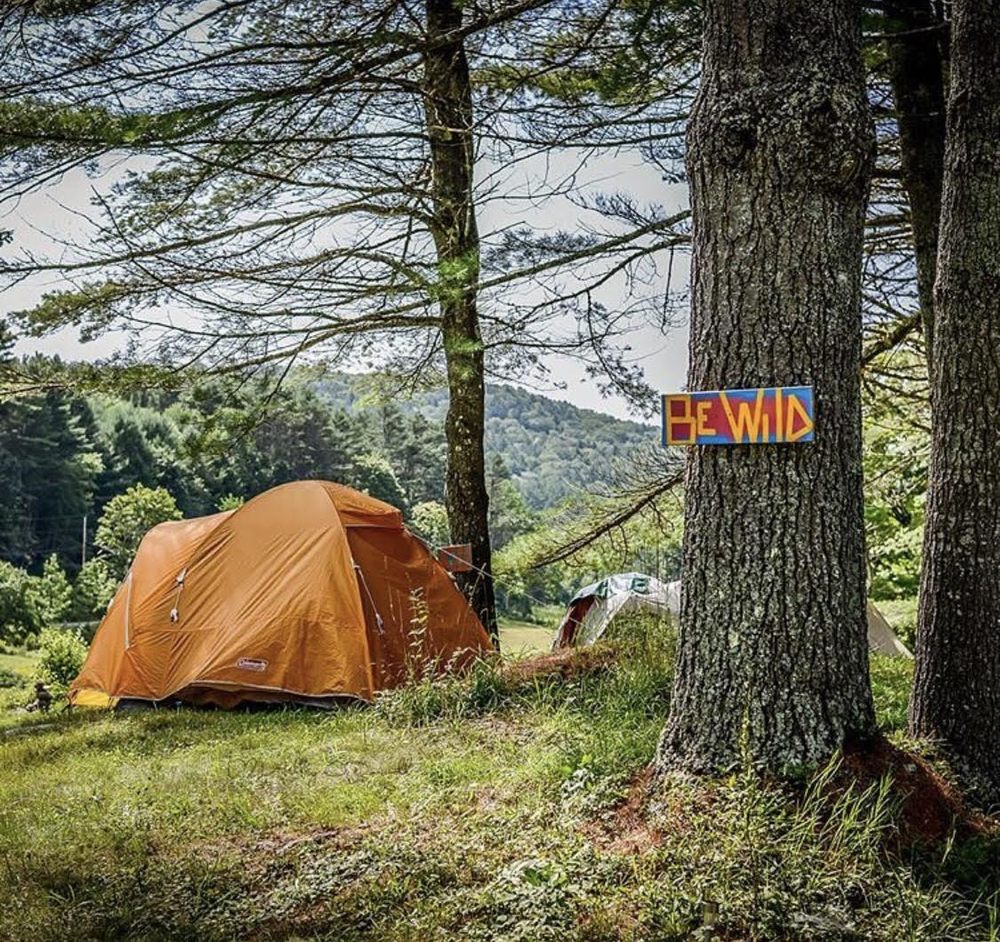 MILLDALE FARM CENTER FOR WELLNESS - 15 Photos - 1461 Bloodbrook Rd ...