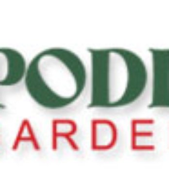 PODINGTON GARDEN CENTRE - Updated August 2025 - 10 Reviews - High ...