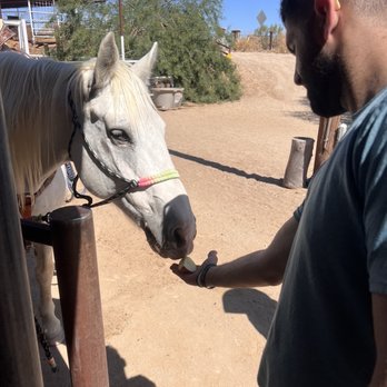 PONDEROSA STABLES - Updated October 2024 - 239 Photos & 195 Reviews ...