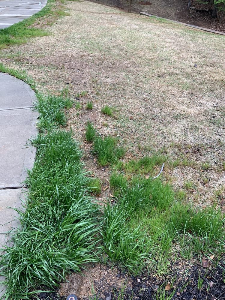 TOP TURF LAWN CARE AND PEST MANAGEMENT - Updated August 2025 - 13 ...