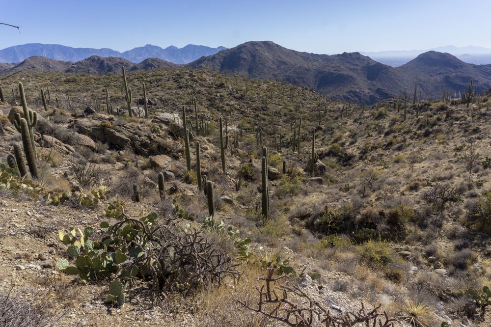 WILD BURRO TRAILHEAD - Hiking - 14810 N Secret Springs Dr, Marana, AZ ...
