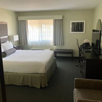 MAPLE TREE INN - Updated December 2025 - 182 Photos & 207 Reviews - 711 ...