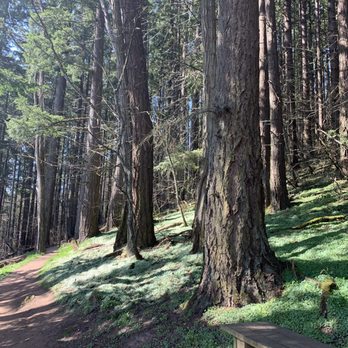 COOKS BUTTE PARK - Updated October 2025 - 33 Photos - 2266 Palisades ...