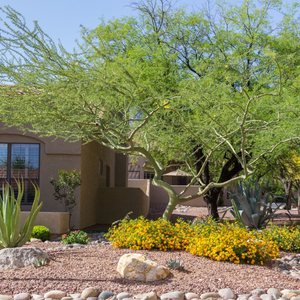 ARIZONA PROSCAPES - Updated January 2025 - 28 Photos - Tucson, Arizona ...