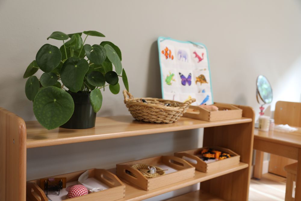 AVOCADO MONTESSORI ACADEMY - Updated October 2024 - 16 Photos - 1844 ...