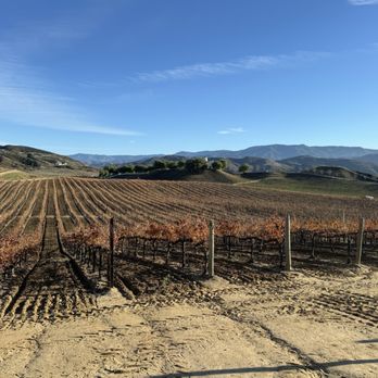 LEONESS CELLARS - Updated June 2024 - 2707 Photos & 2073 Reviews ...