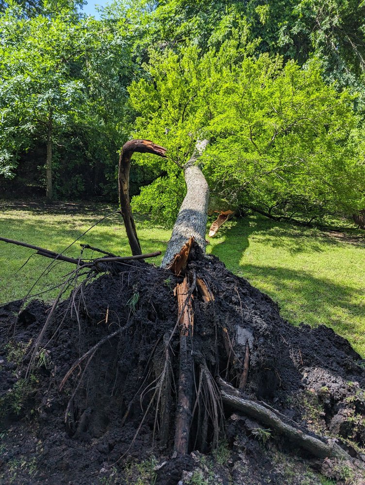 DAYSPRING NATURE PRESERVE - Updated February 2025 - 41 Photos - 900 ...