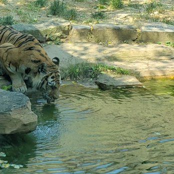 PHILADELPHIA ZOO - Updated June 2024 - 1951 Photos & 511 Reviews - 3400 ...