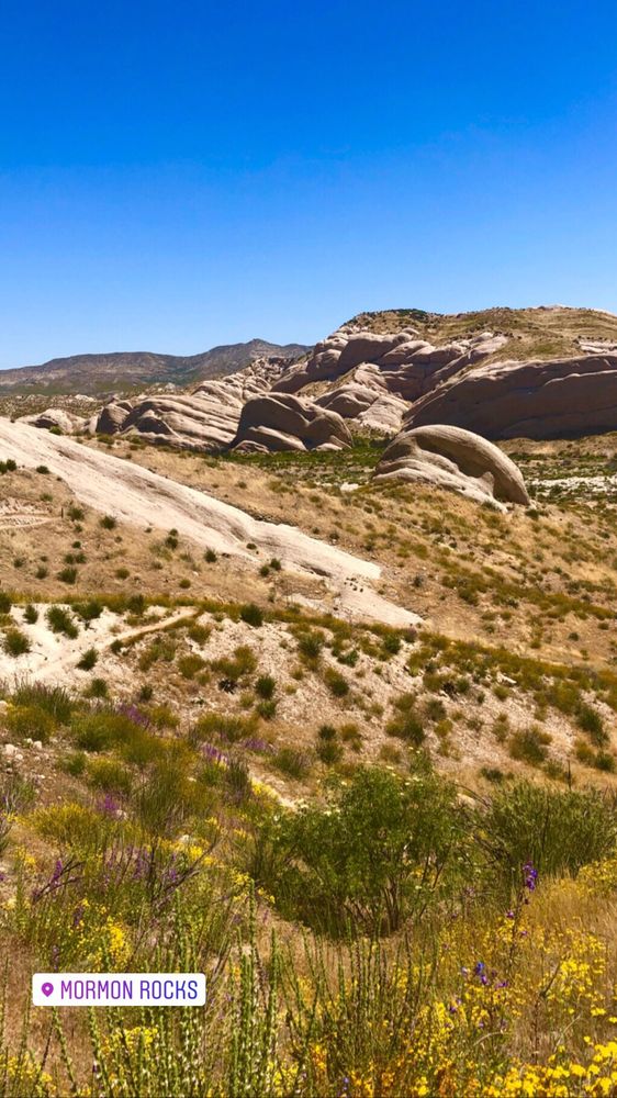 MORMON ROCKS INTERPRETIVE TRAIL - 23 Photos - Hiking - 7198 Abiel ...