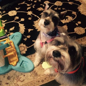 MONDO PET USA - Updated December 2025 - 54 Photos & 14 Reviews - 13802 ...