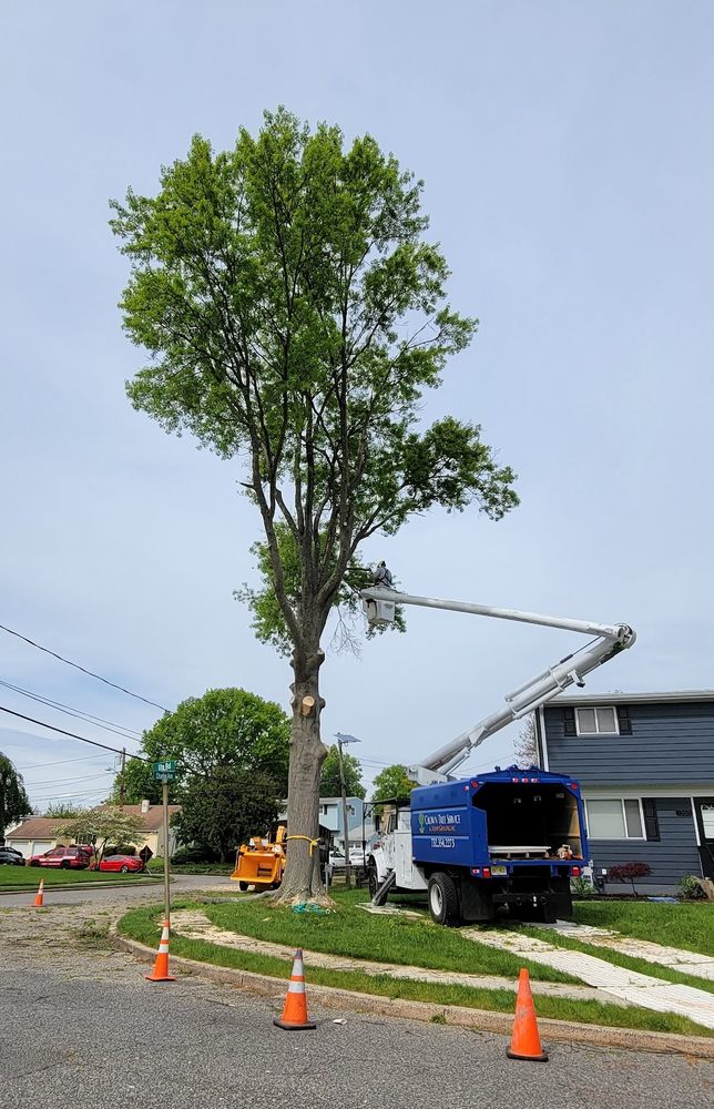 ALL SEASON TREE SERVICE - Updated October 2025 - Request a Quote - 31 ...