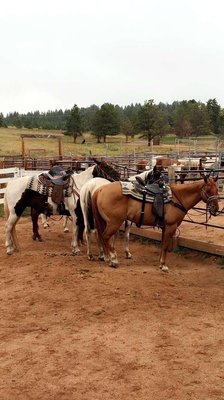 HISTORIC TRIPLE B RANCH - 12 Reviews - 27640 State Hwy 67, Woodland ...