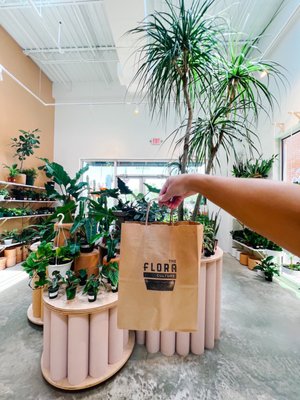 THE FLORA CULTURE - Updated December 2025 - 70 Photos & 40 Reviews ...