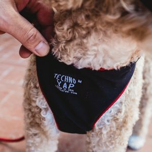 LE MARCEL BAKERY FOR DOGS - 233 Photos & 144 Reviews - Pet Stores ...