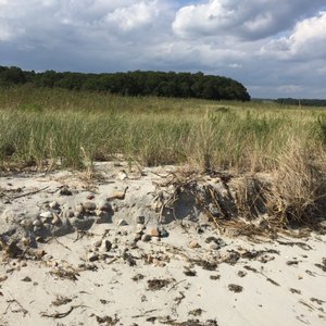 SANDY TERRACES - Updated August 2025 - 570 Wakeby Rd, Marstons Mills ...