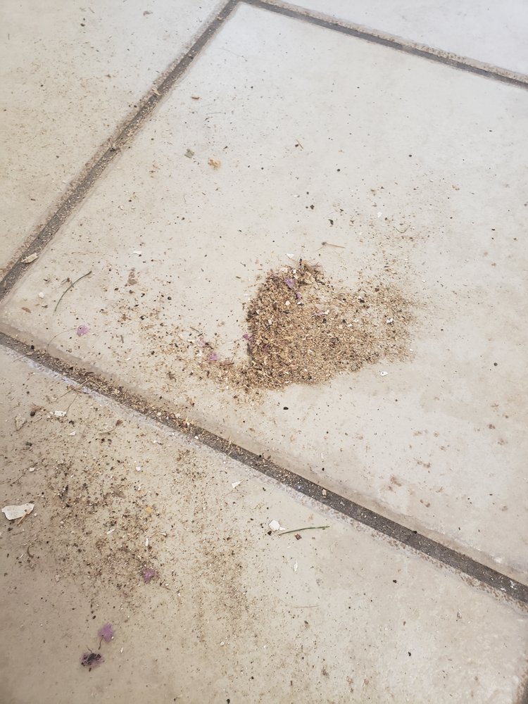 GROUND UP CLEANING - Updated April 2026 - 34 Photos - Dallas, Texas ...