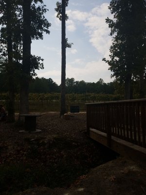 SPRING RUN VINEYARDS - 11 Photos - 10700 Spring Run Rd, Chesterfield ...