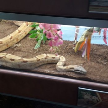 HIGHLAND SAM J. RACADIO LIBRARY & ENVIRONMENTAL LEARNING CENTER ...