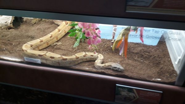 HIGHLAND SAM J. RACADIO LIBRARY & ENVIRONMENTAL LEARNING CENTER ...