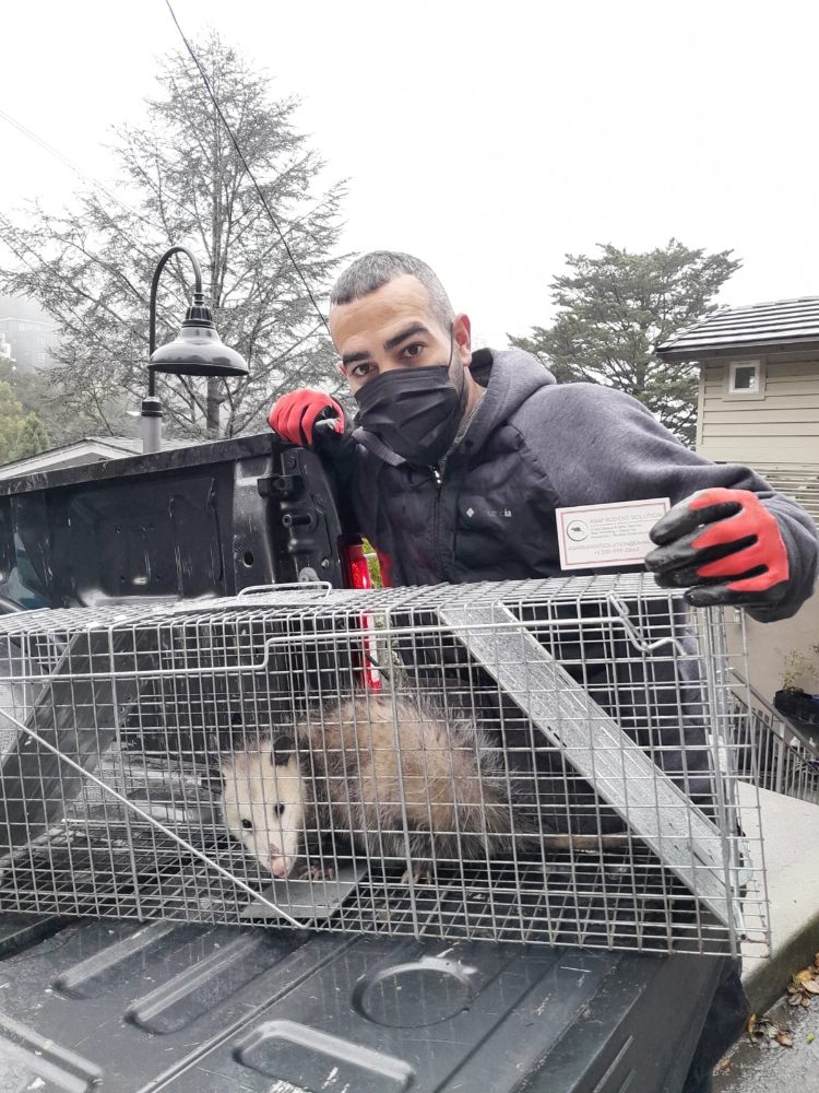 ASAP RODENT SOLUTIONS - 135 Photos & 89 Reviews - 795 Folsom St, San ...
