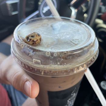 THE HUMAN BEAN - Updated August 2024 - 49 Photos & 51 Reviews - 839 ...