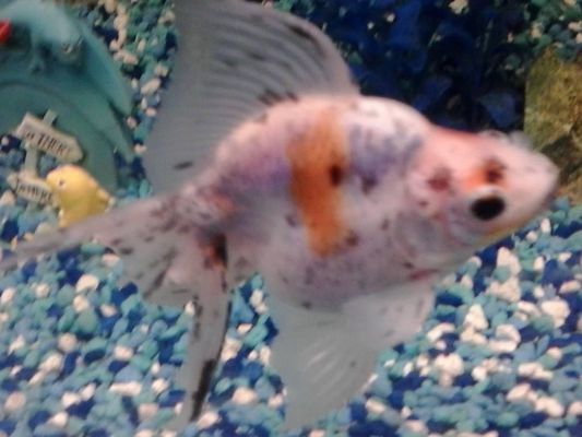 MISHAWAKA-PENN-HARRIS PUBLIC LIBRARY - Updated July 2025 - 15 Photos ...