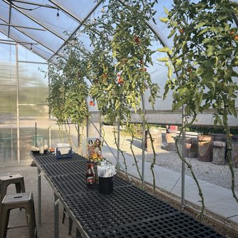 GRIST HOUSE BEER CRIB - Updated October 2025 - 45 Photos & 10 Reviews ...