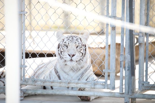 VISION QUEST RANCH - Updated June 2024 - 817 Photos & 306 Reviews - 400 ...